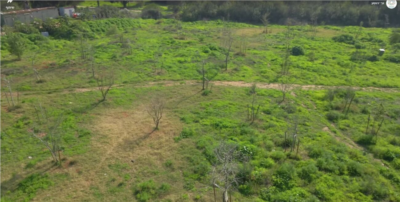 יער חדש מוקם בראש ציפור בתל אביב-יפו: אירוע שתילות יתקיים בט"ו בשבט ופתיחה תתקיים בפסח - BE106 ...